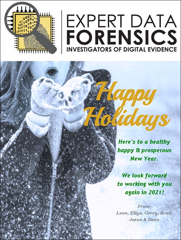 Holiday Greetings from Expert Data Forensics - Expert Data Forensics